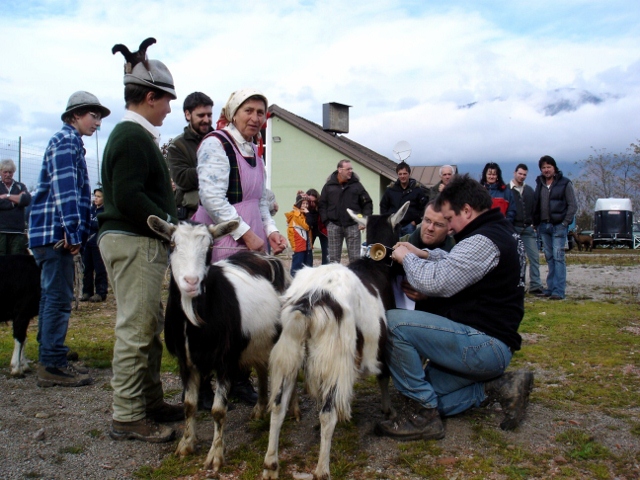 Ricordo-di-Massimo-Pirola