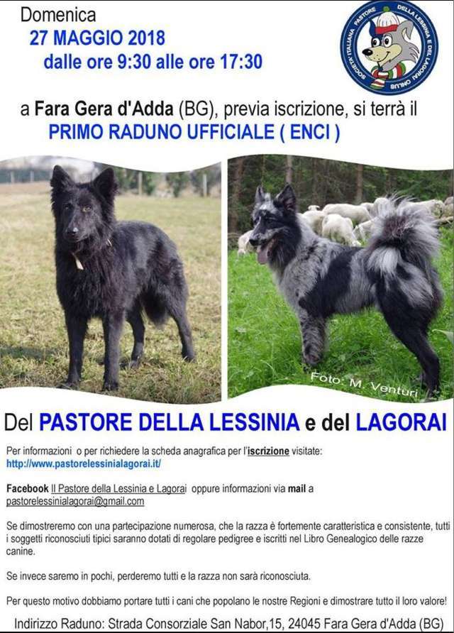 Cane pastore della Lessinia e Lagorai